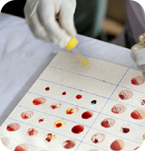 About - Most Trusted Diagnostic Lab | Devansh Lab Werks